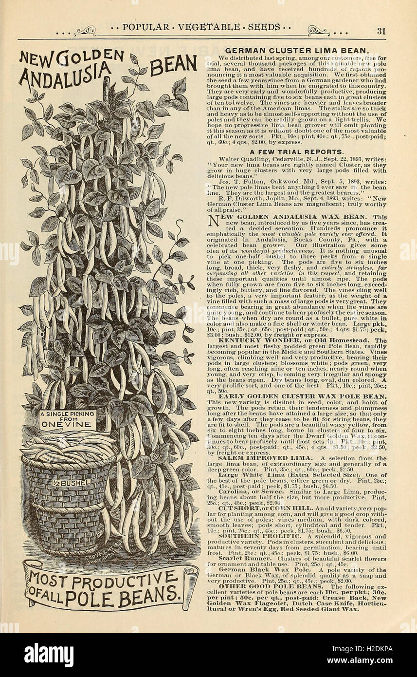 A manual detailing gardening and farming techniques from the early ...