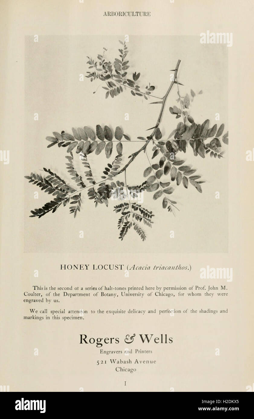 A comprehensive study of tree cultivation and care, focusing on methods ...