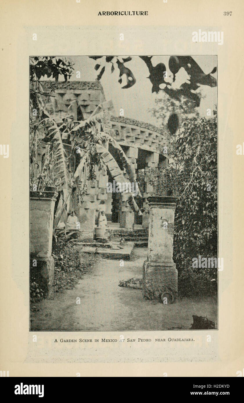 Arboriculture is the practice of managing and maintaining trees ...