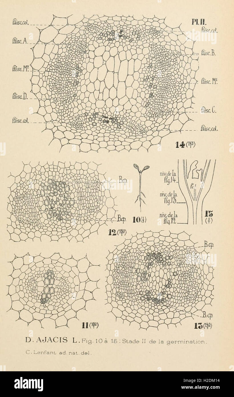The archives of the Botanical Institute of the University of Liège ...
