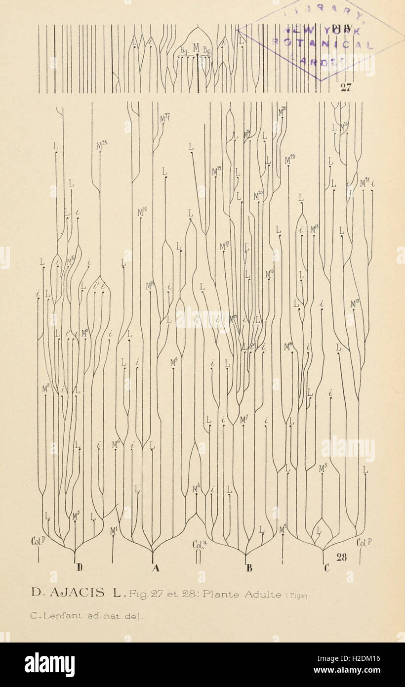 This archive features research from the Botanical Institute of the ...