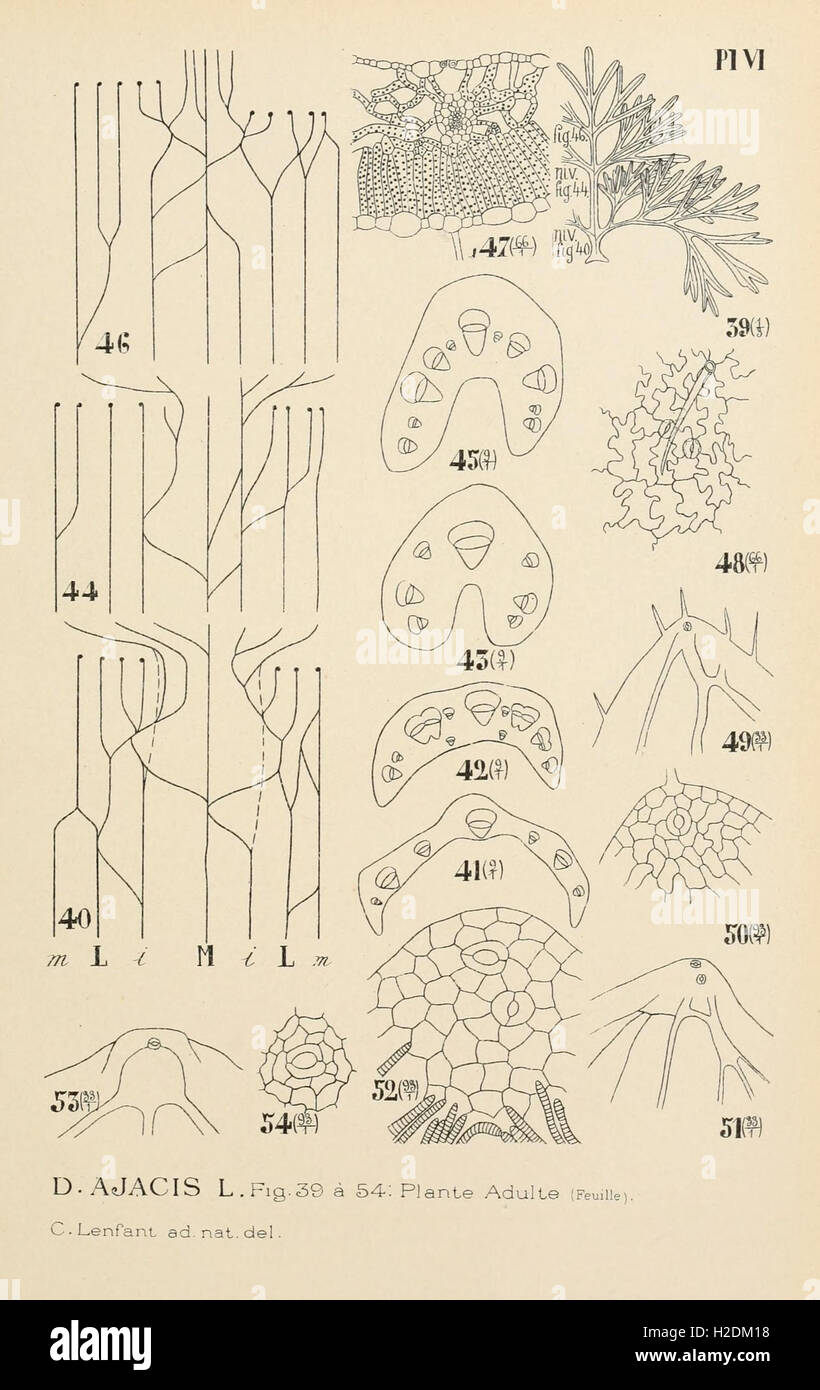 The botanical archives of the University of Liège, documenting research ...
