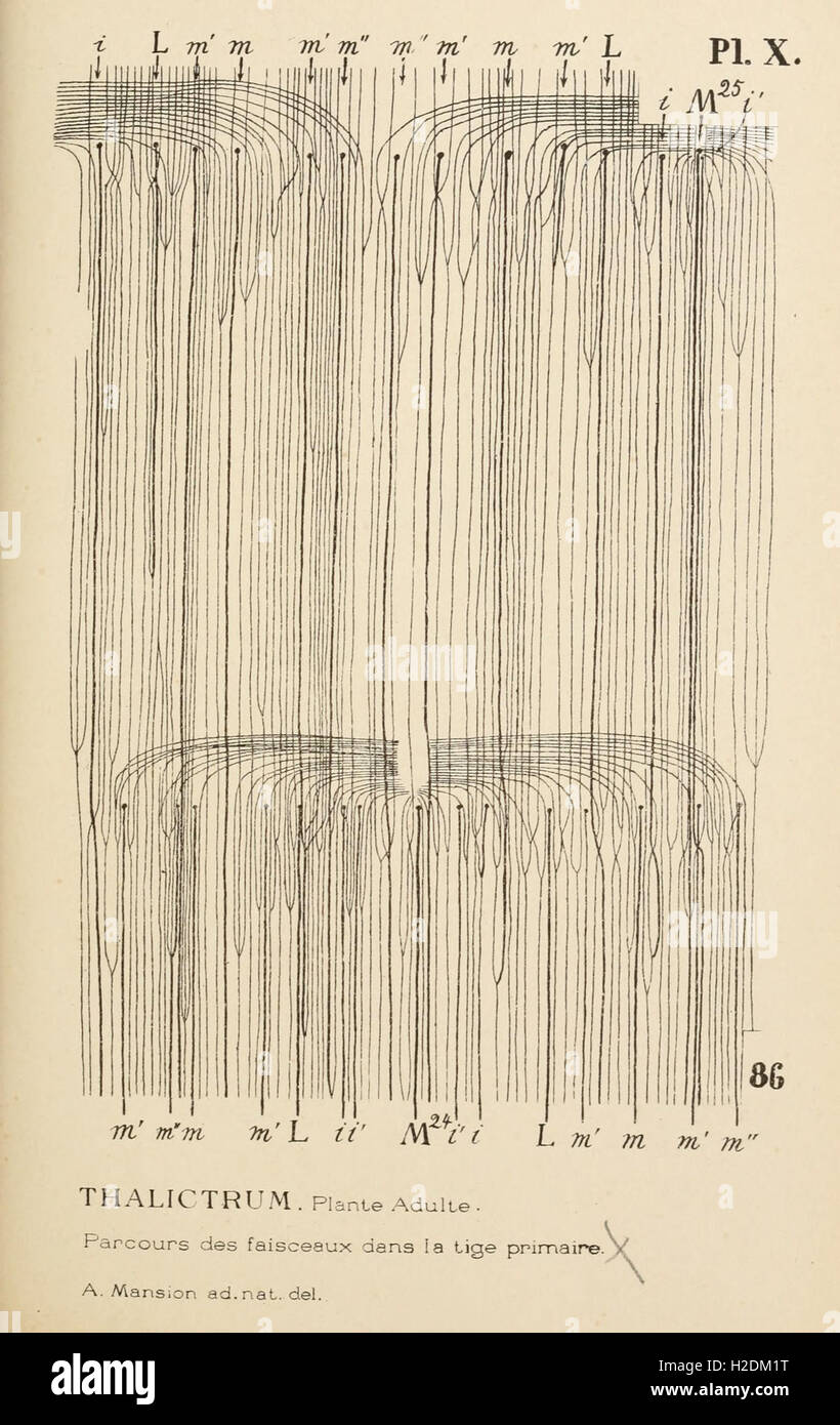 This archive documents botanical research from the University of Liège ...