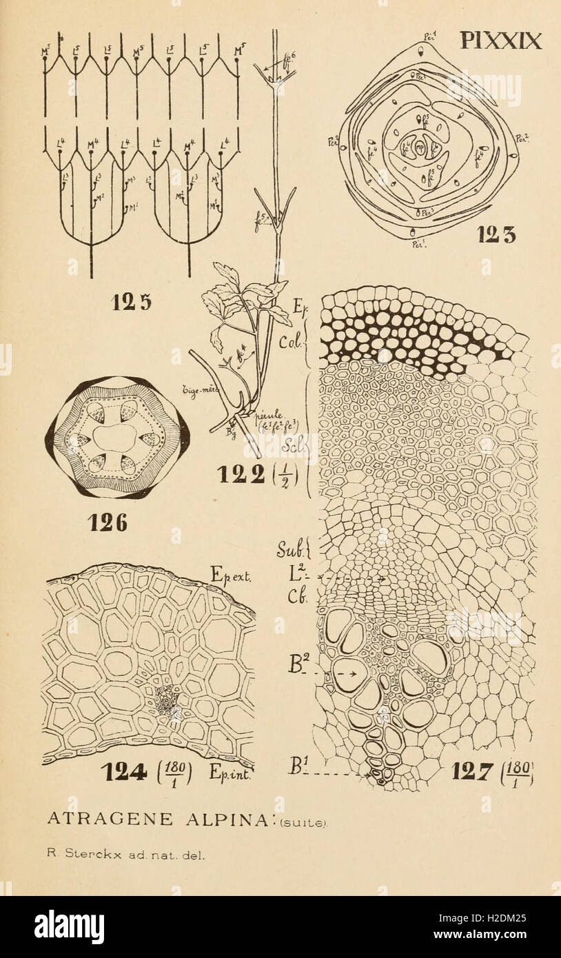 The 'Archives de l'Institut Botanique de l'Université de Liège' is a ...