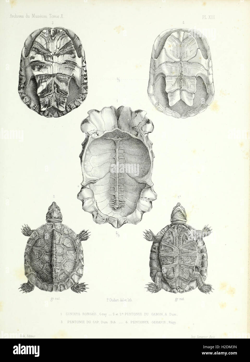 Map of paris xiii hi-res stock photography and images - Alamy