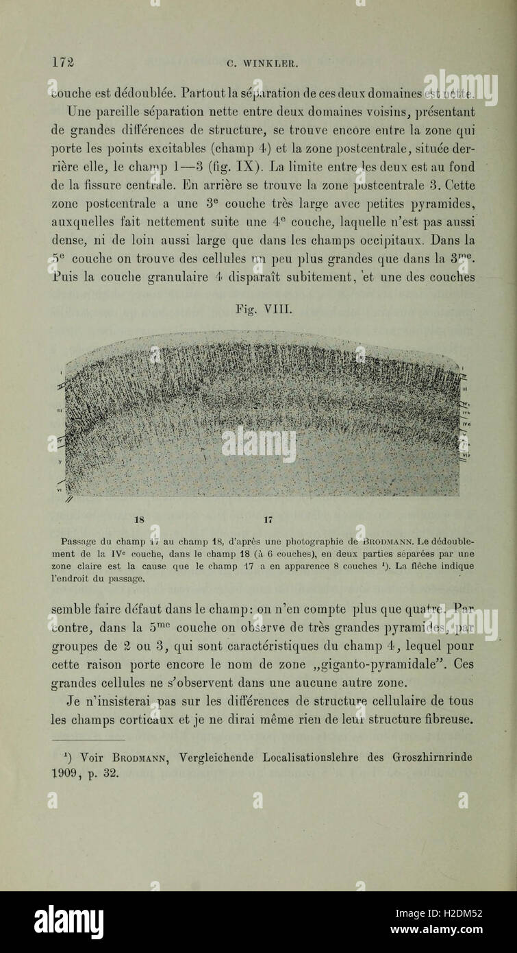 A Dutch scientific journal focusing on exact and natural sciences ...
