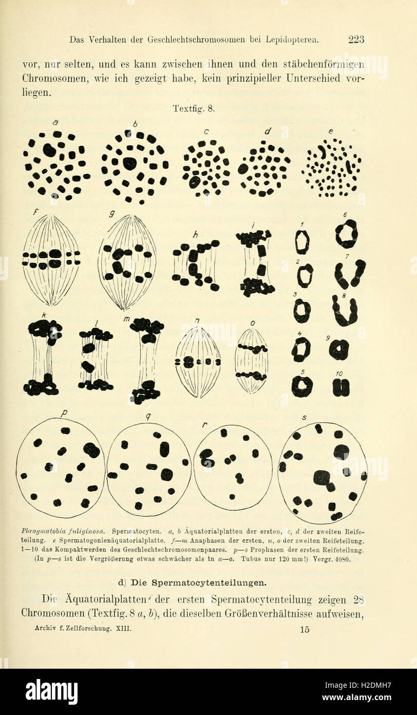 This archive covers research in cellular biology, focusing on cell ...