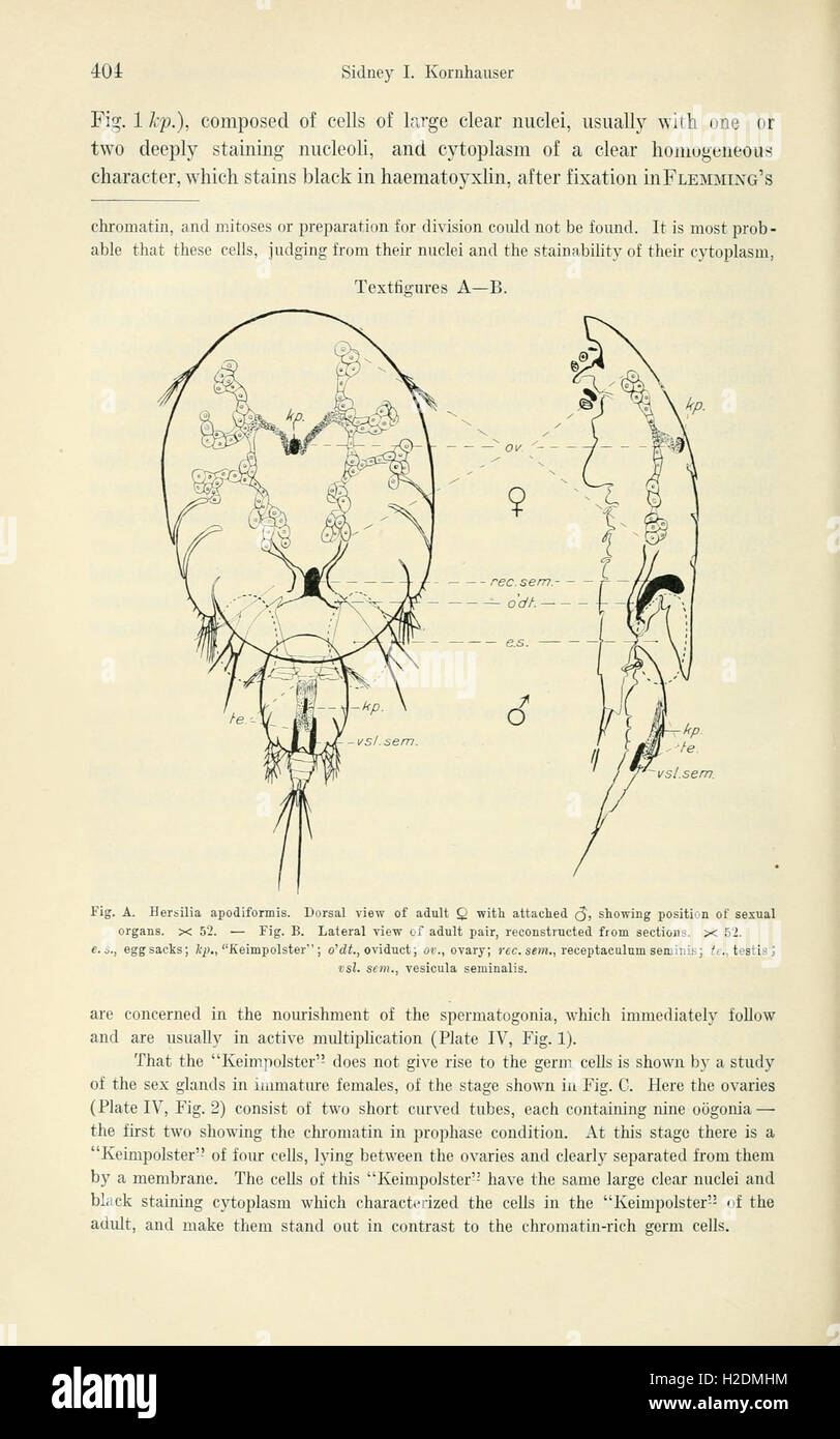 This publication focuses on cell research, providing detailed insights ...