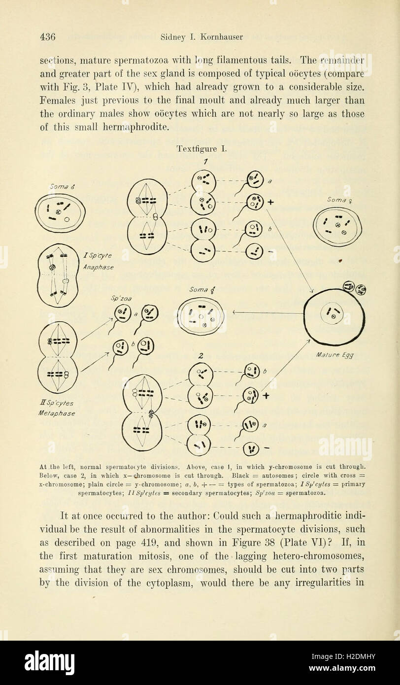 This scientific work focuses on cell research, including the structure ...