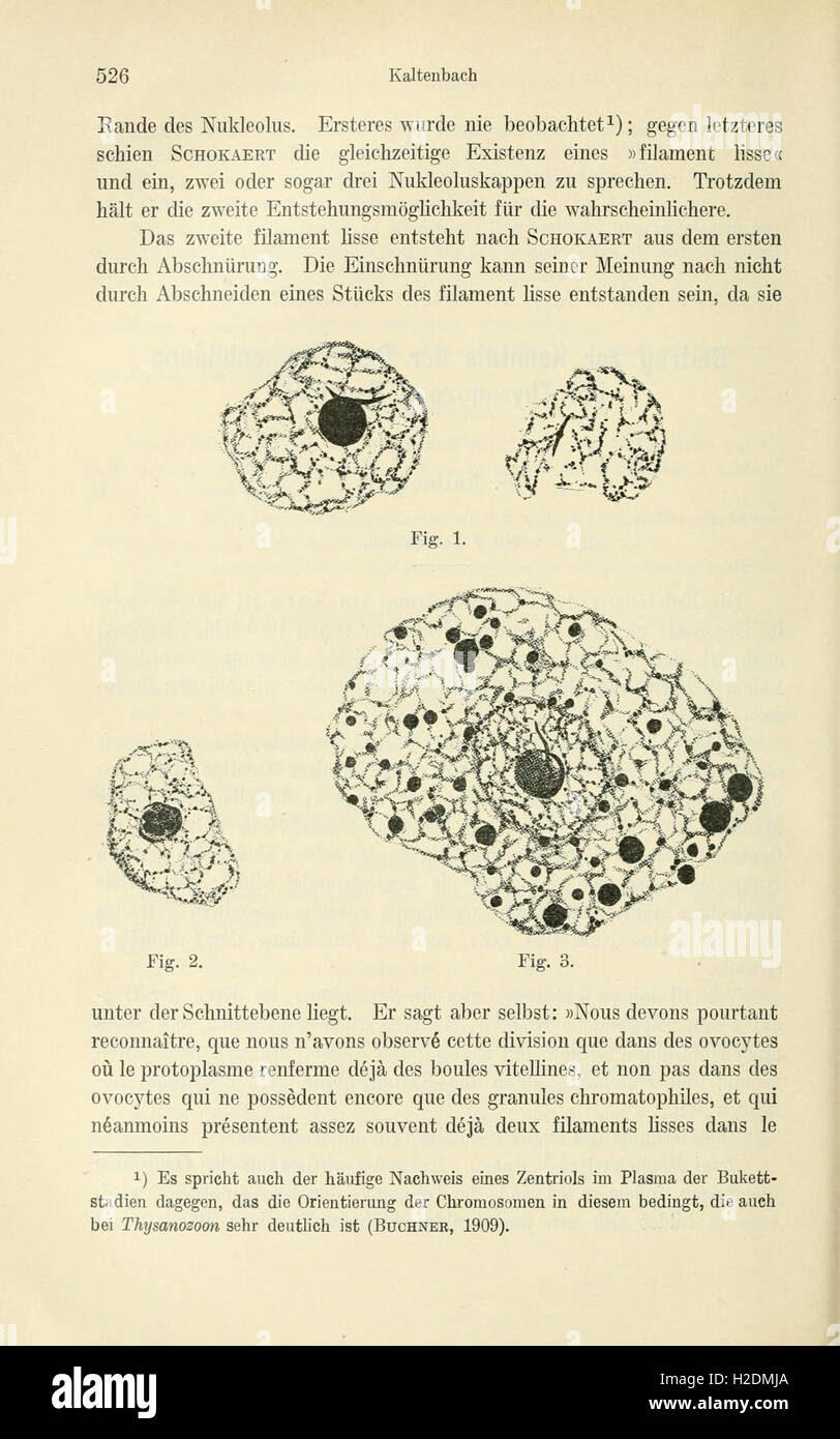 This volume of the 'Archiv für Zellforschung' presents research in ...