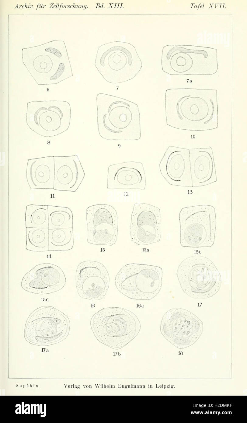 A journal dedicated to cellular research, presenting scientific studies ...