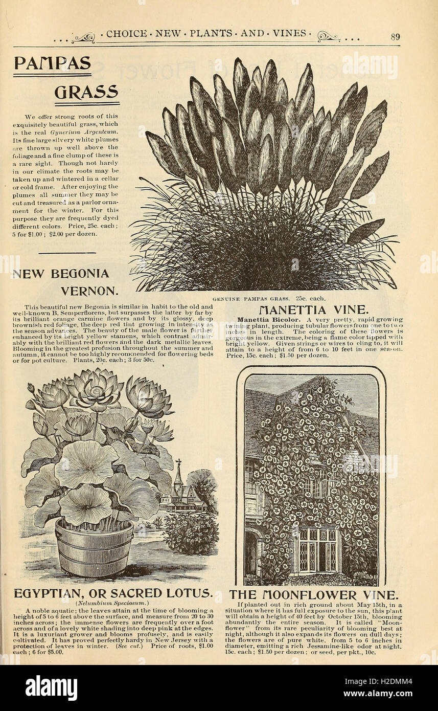 1894 89 hi-res stock photography and images - Alamy