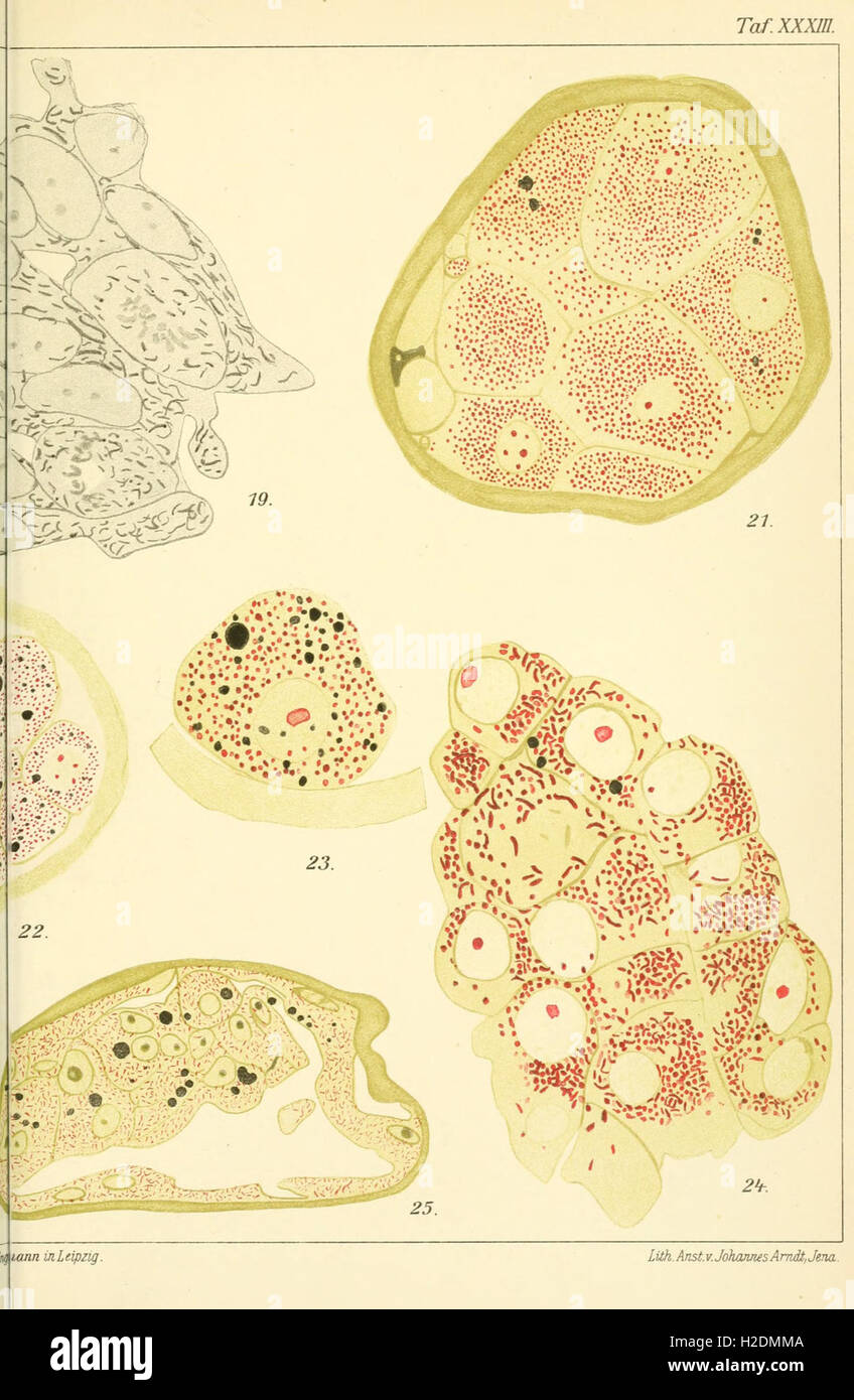 This journal covers cellular research, with a focus on cell biology ...