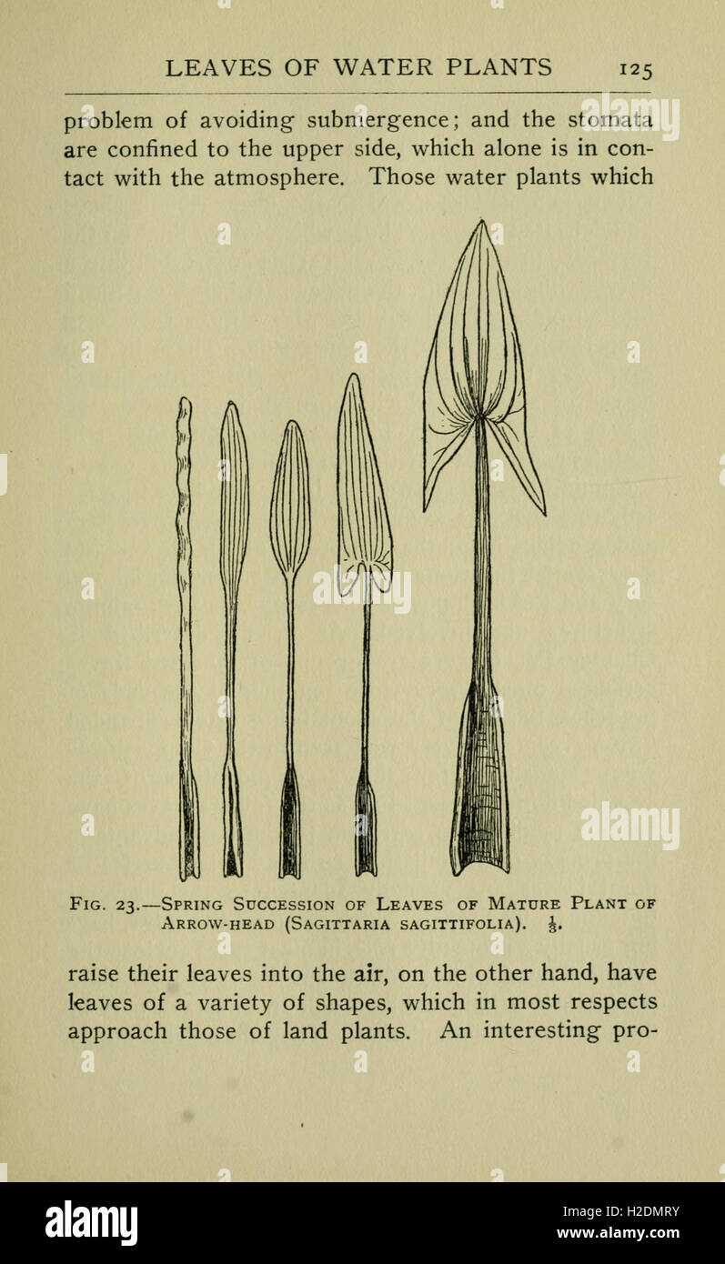 A study on the diverse aspects of plant life, from growth and ...
