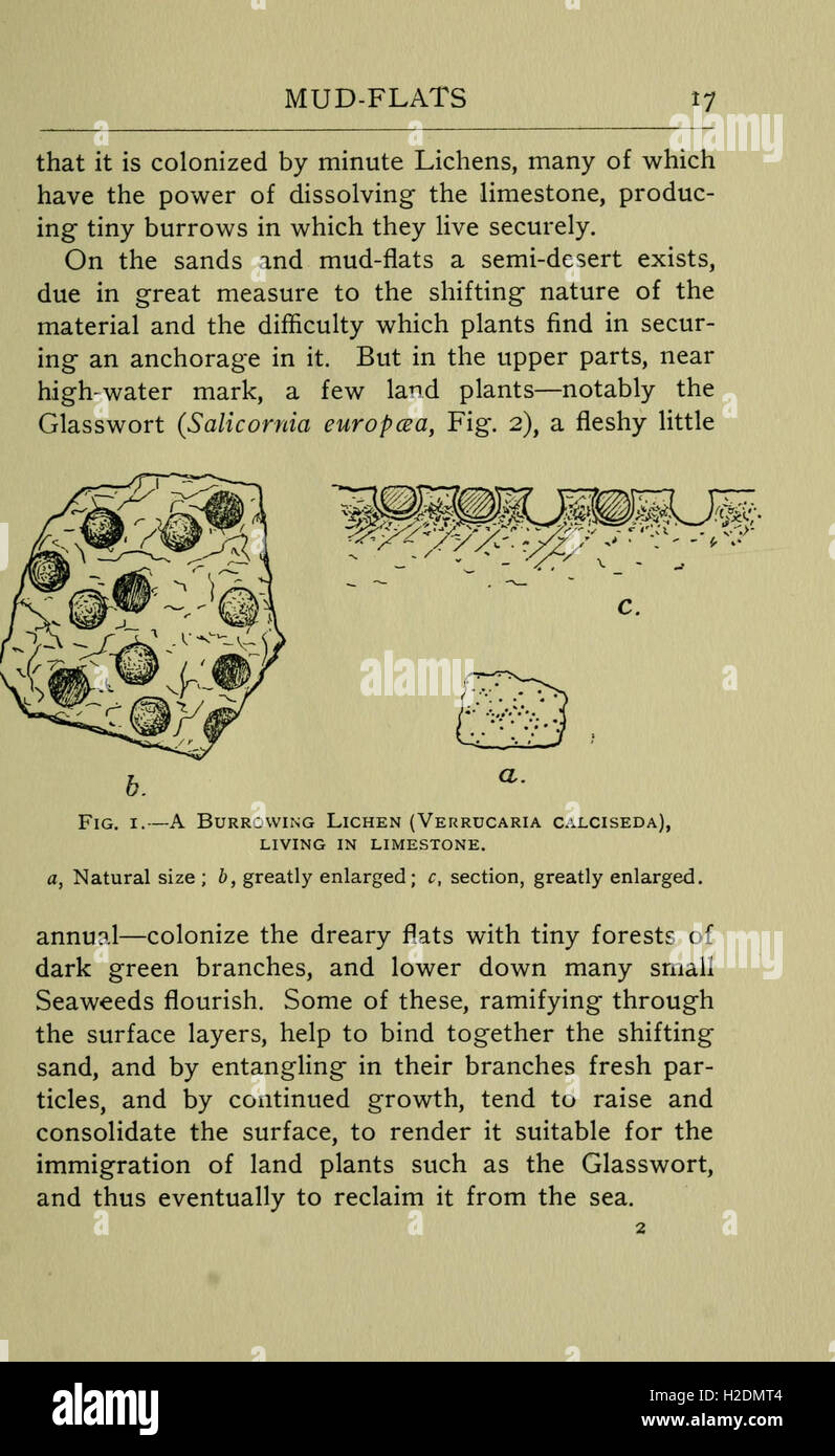 This page from 'Aspects of Plant Life' examines various facets of plant biology, including ...