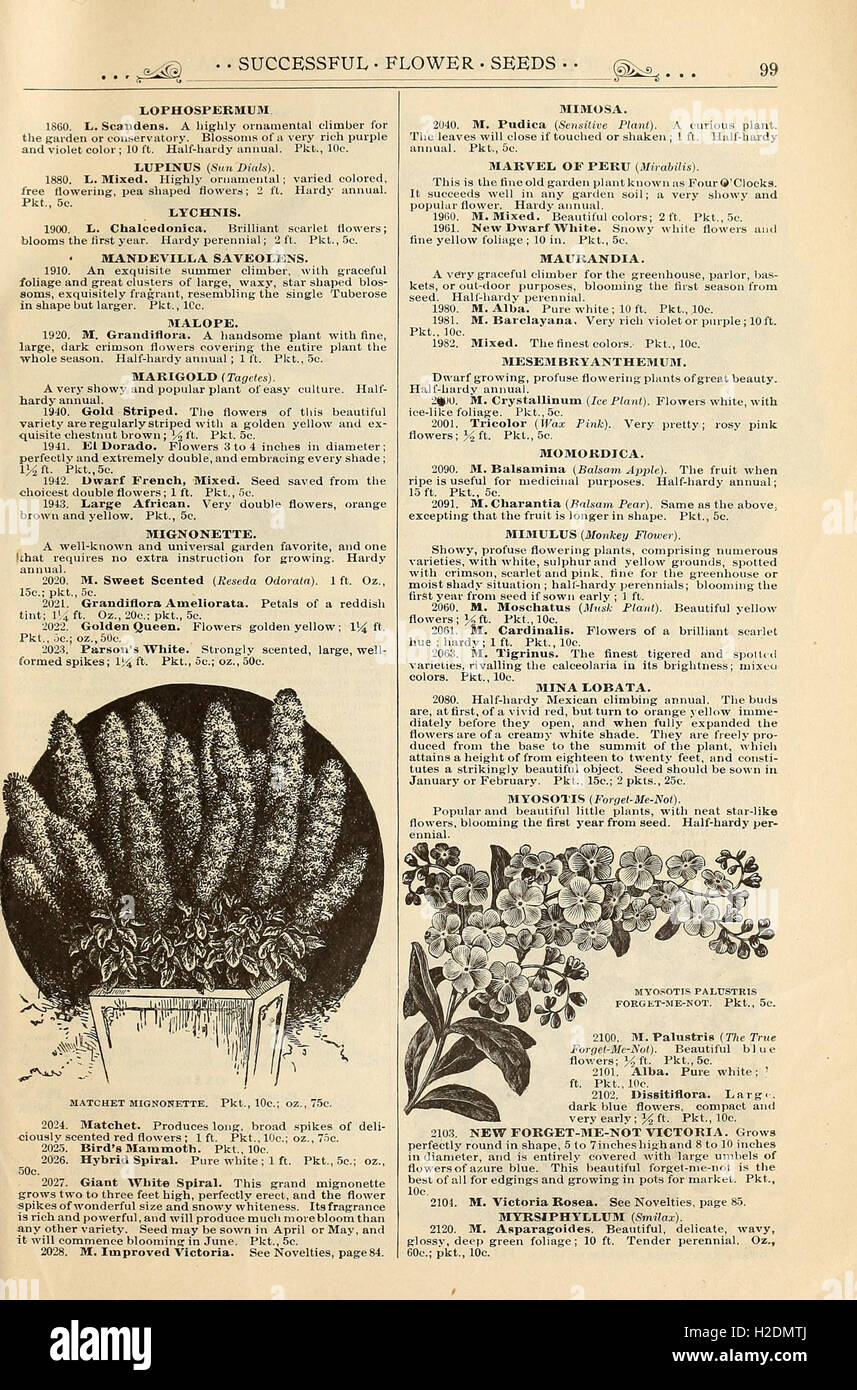 1894 99 hi-res stock photography and images - Alamy