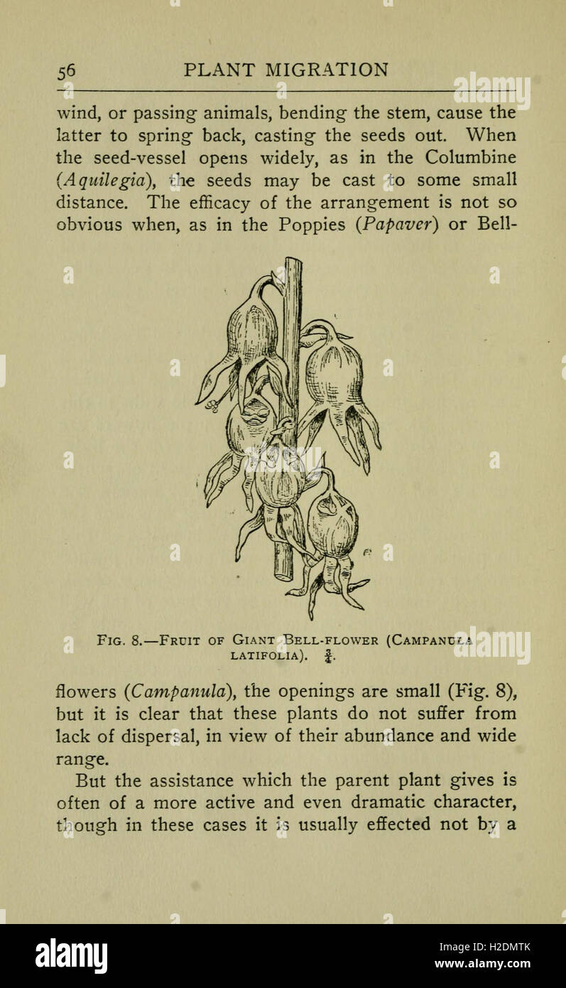This work delves into various aspects of plant life, including growth ...