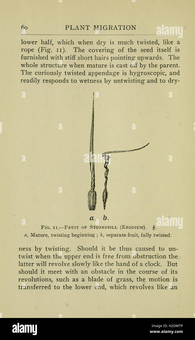 This work presents various aspects of plant life, including plant ...