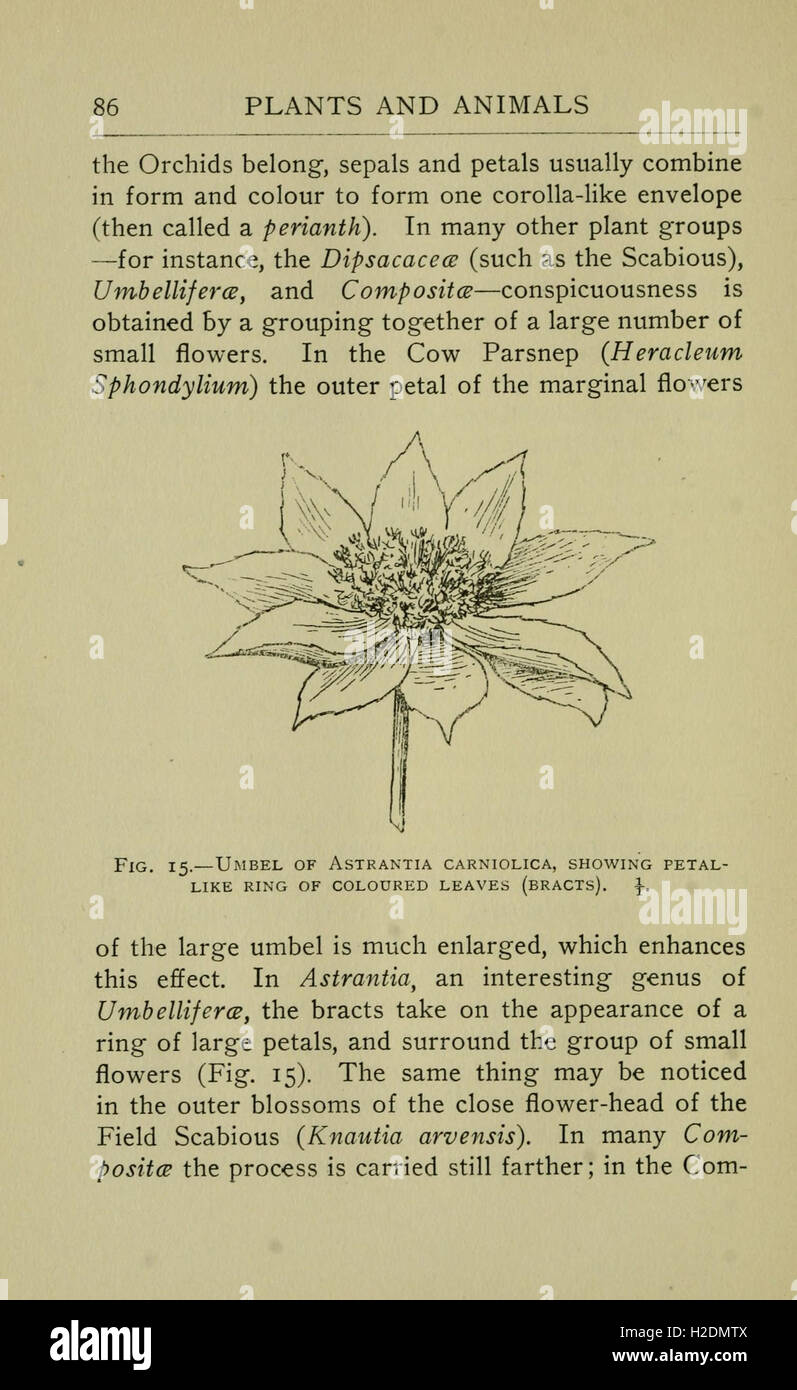 A detailed study of various aspects of plant life, including growth ...