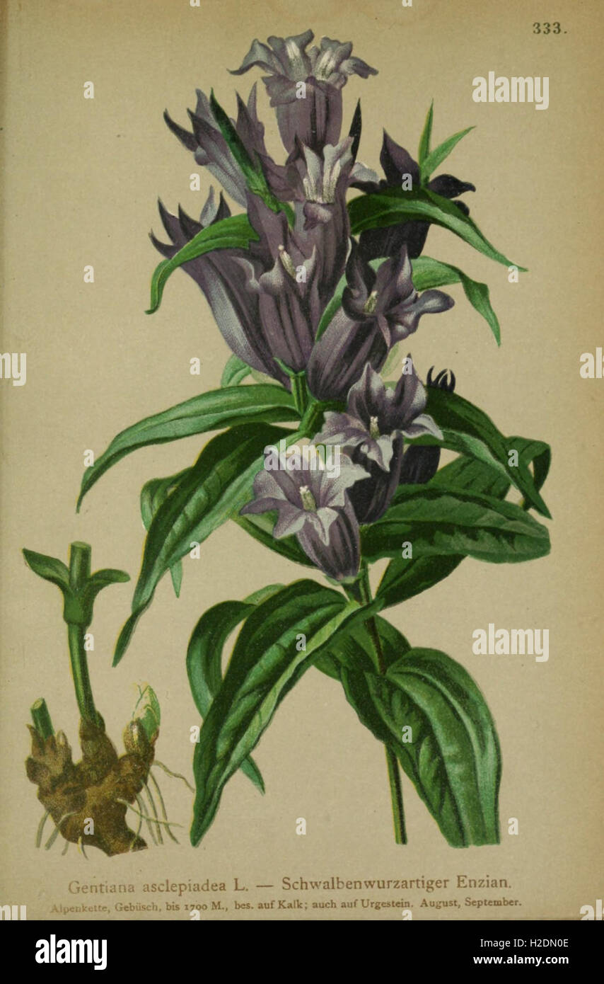 This atlas presents the flora of the Alps, with detailed illustrations ...