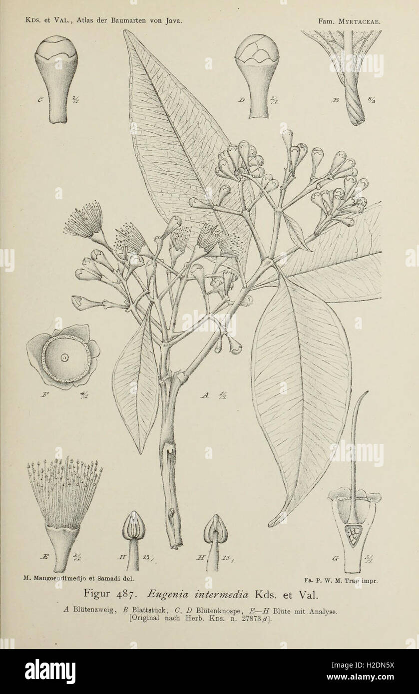 This atlas provides detailed illustrations and descriptions of various ...