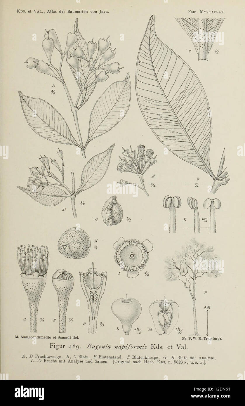 This atlas provides detailed illustrations and descriptions of various ...