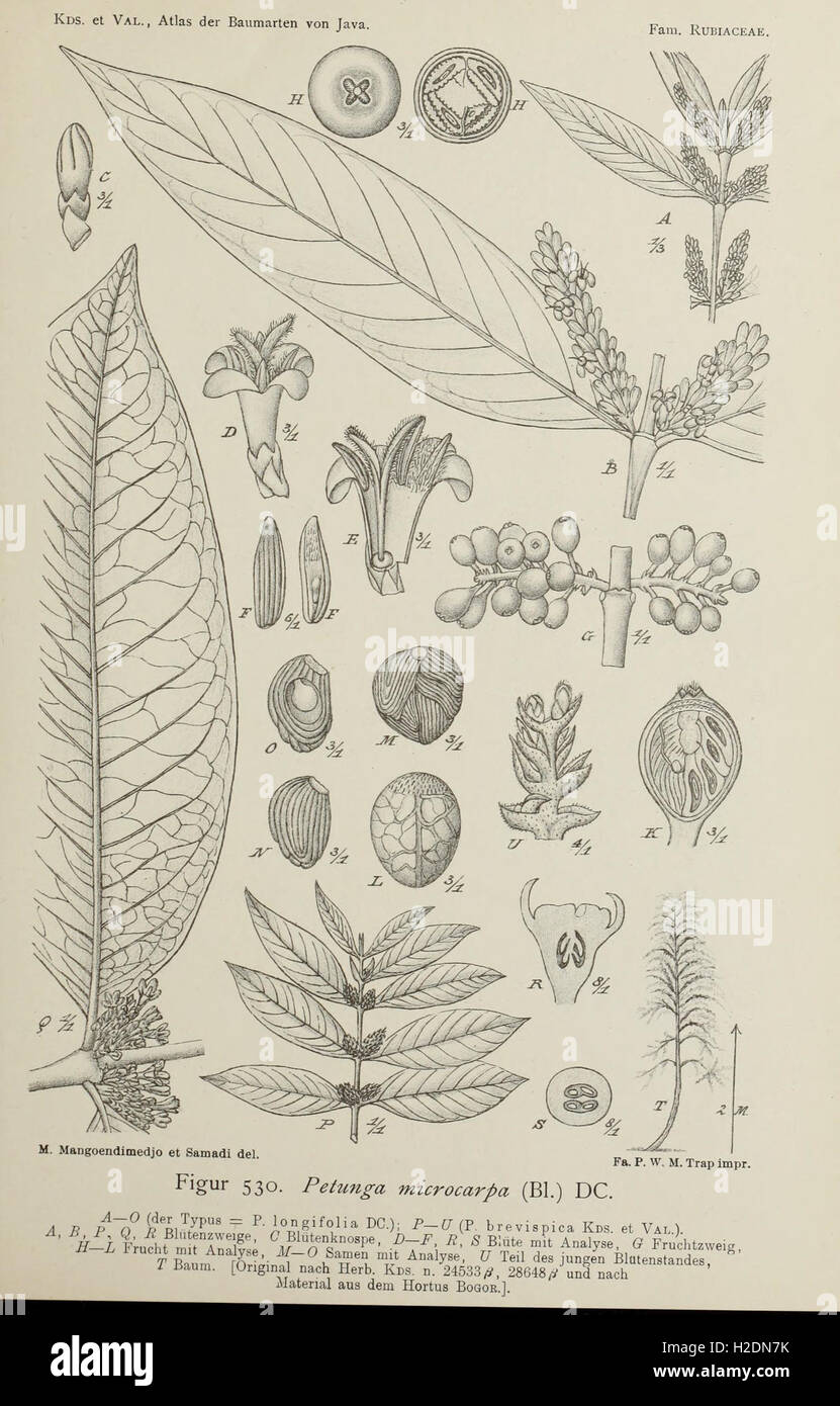 This atlas focuses on the tree species of Java, providing detailed ...