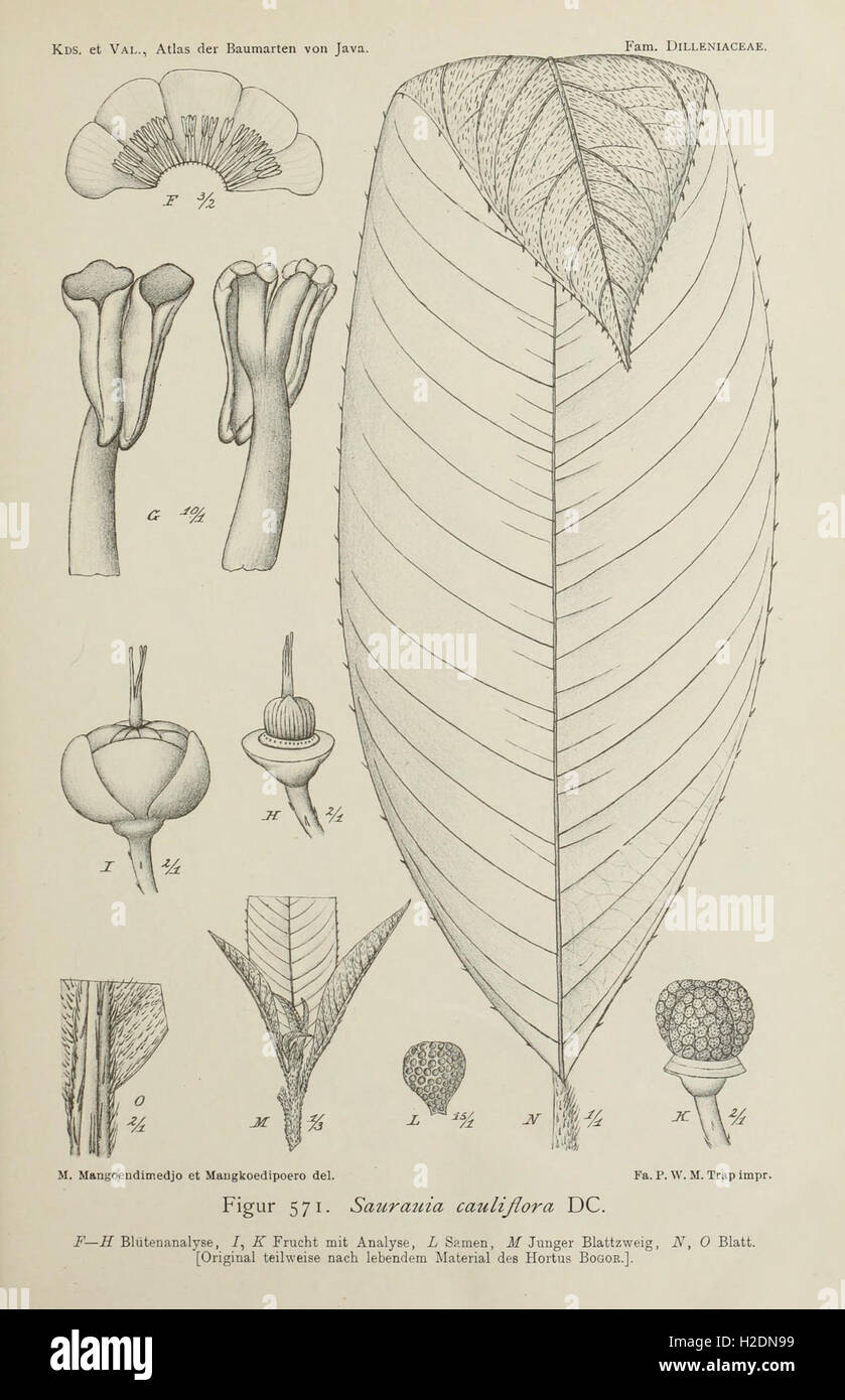 This atlas provides a detailed representation of tree species native to ...