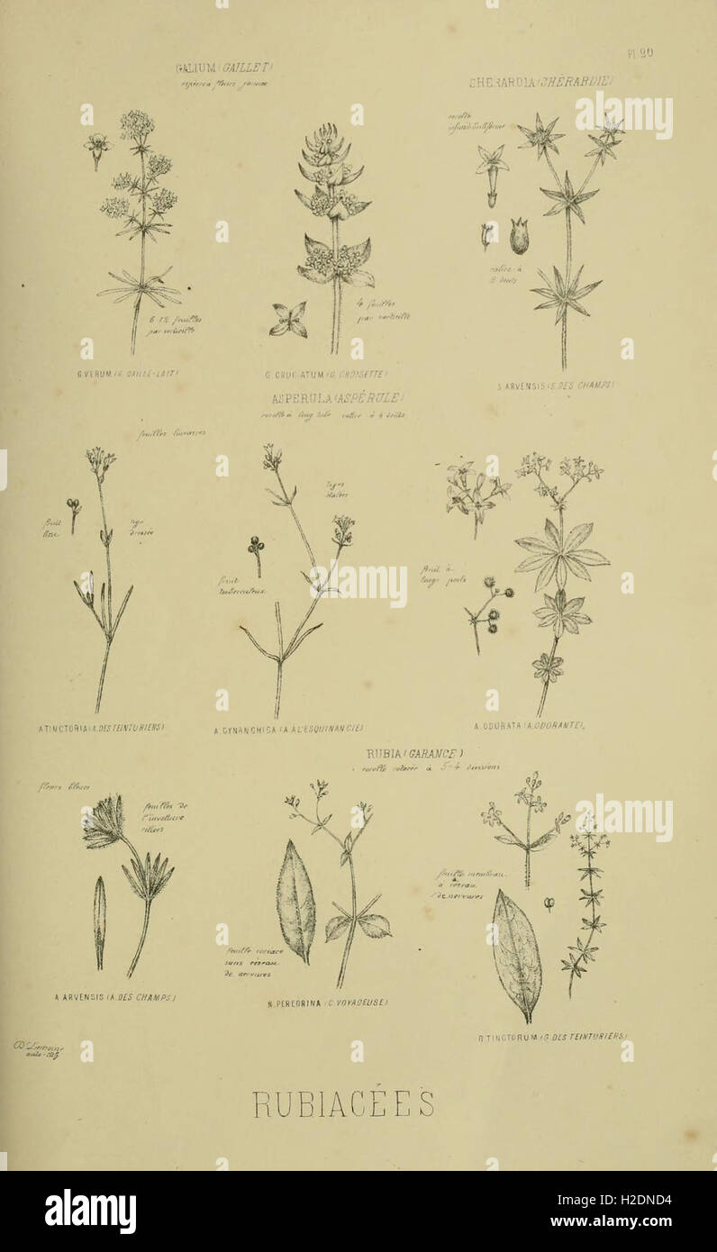 This atlas focuses on the specific characteristics of plants from the ...