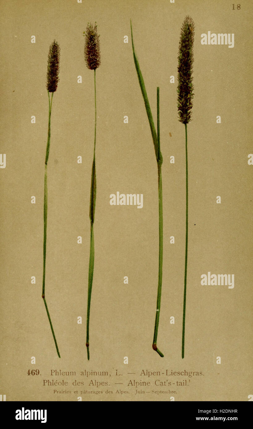 This atlas features detailed illustrations and descriptions of alpine ...