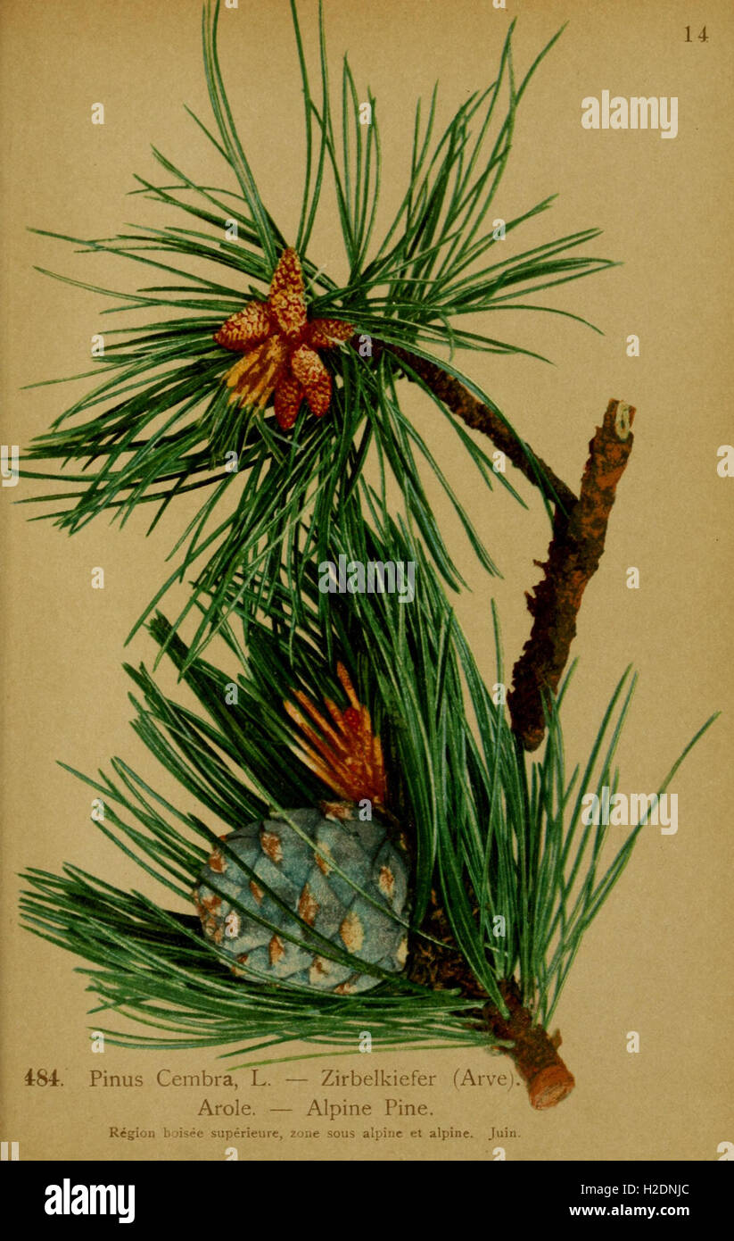 This atlas showcases alpine plant species, providing detailed ...