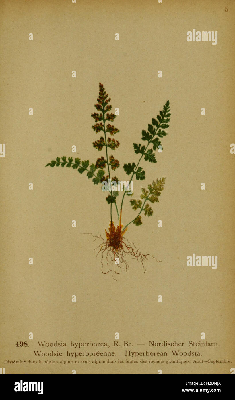 This atlas provides detailed illustrations and descriptions of alpine ...