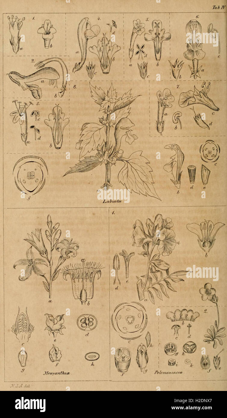 This atlas provides a detailed overview of the natural families of ...