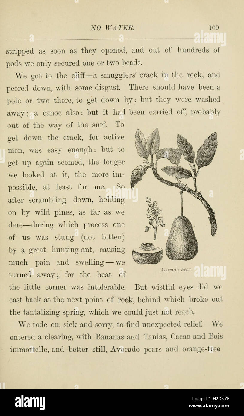 A personal account of overcoming challenges and achieving success after ...