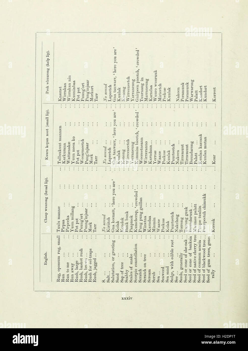 This work discusses the culture, history, and social structure of ...