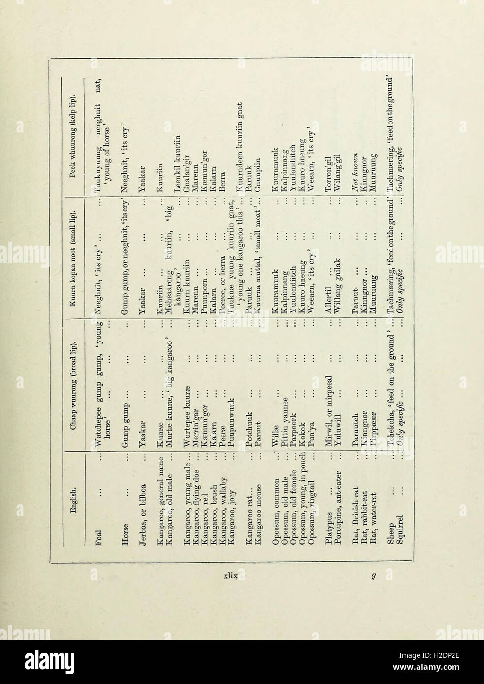 This work explores the culture, history, and social structure of ...