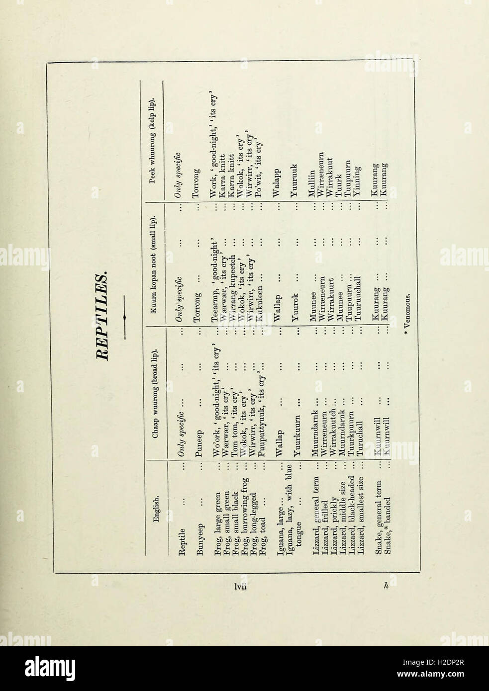 A comprehensive study on the history, culture, and social structure of ...