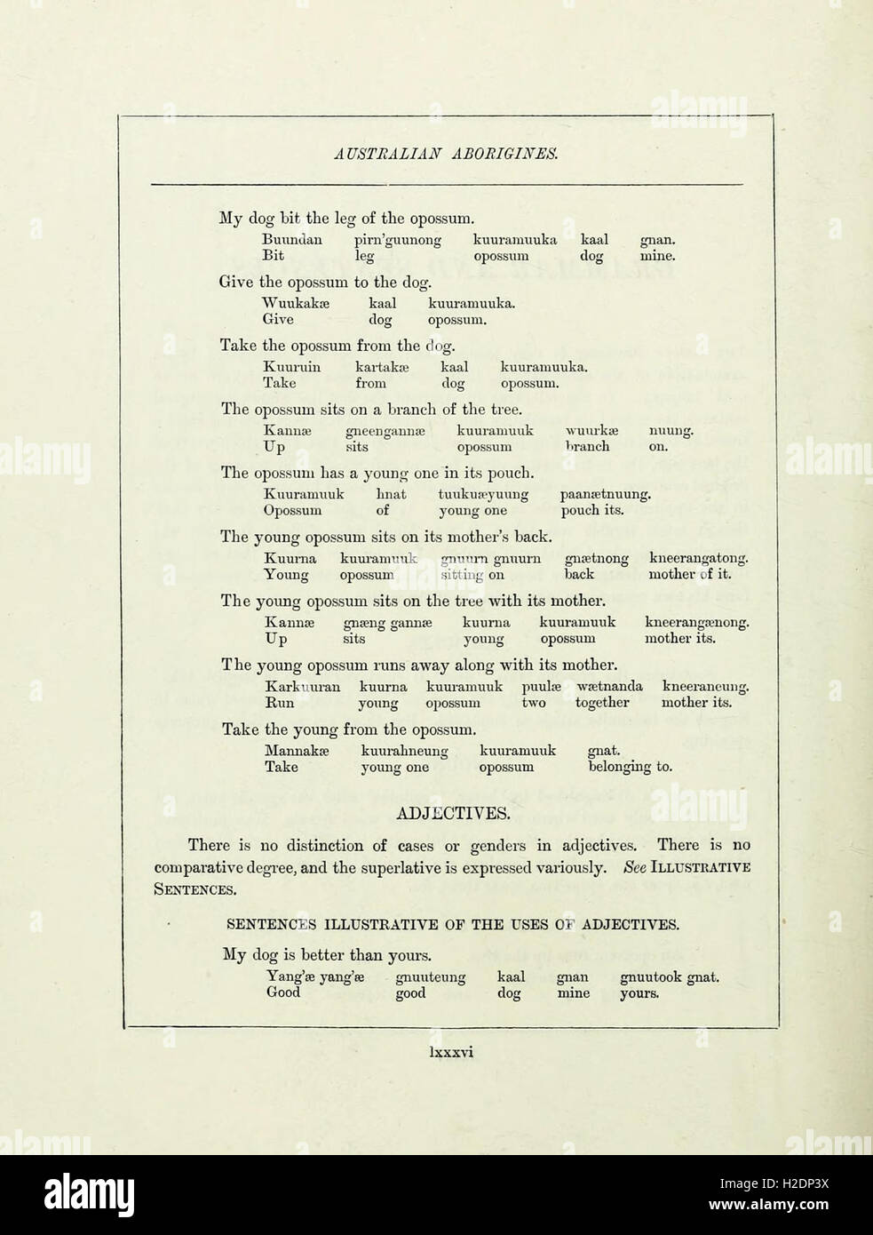 This page explores the culture, history, and social structure of the ...