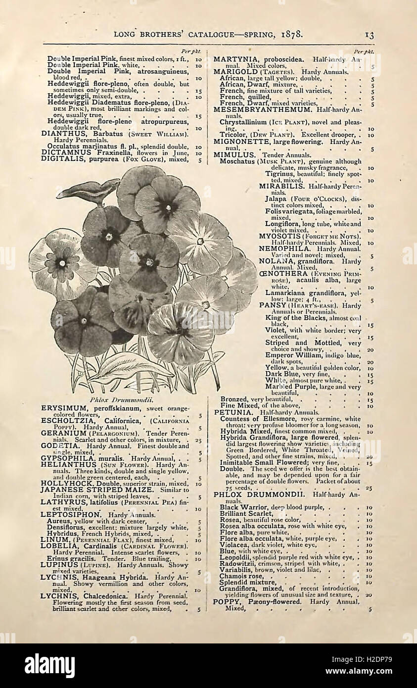 This catalogue features a wide range of floricultural stock available ...