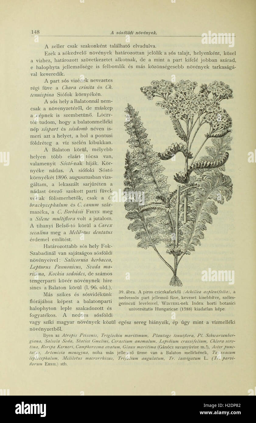 This study provides a detailed overview of the plant geography and ...