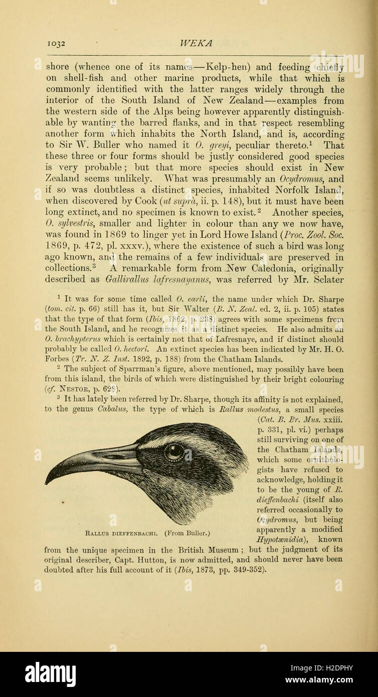 Page 1032 hi-res stock photography and images - Alamy