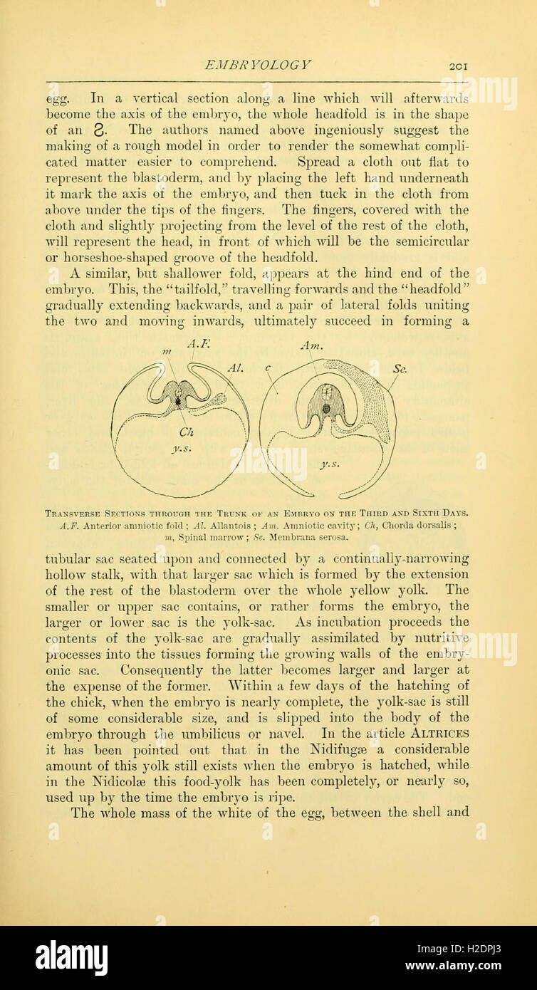 This dictionary provides comprehensive descriptions of bird species ...