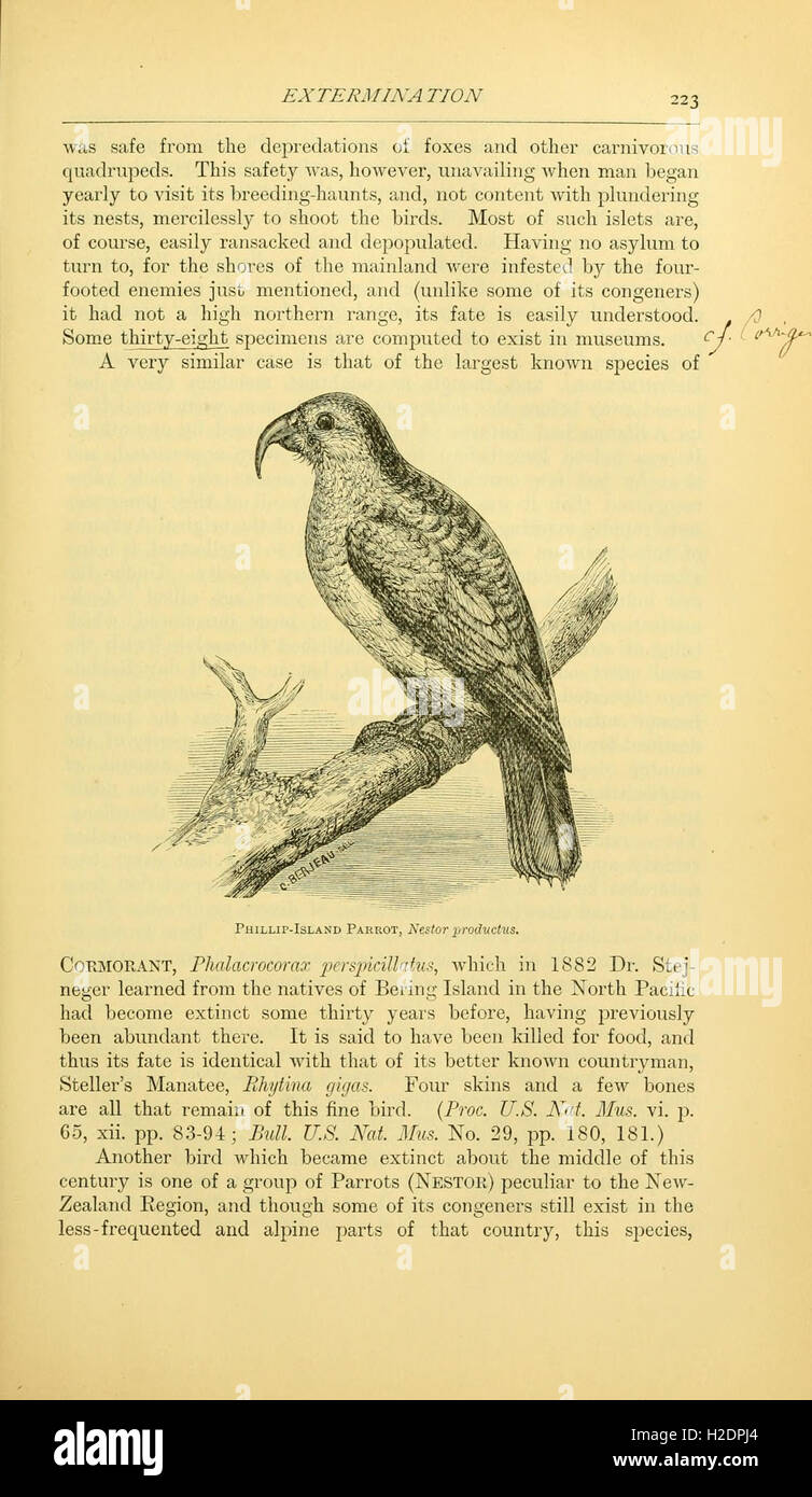 This dictionary provides comprehensive information on bird species ...