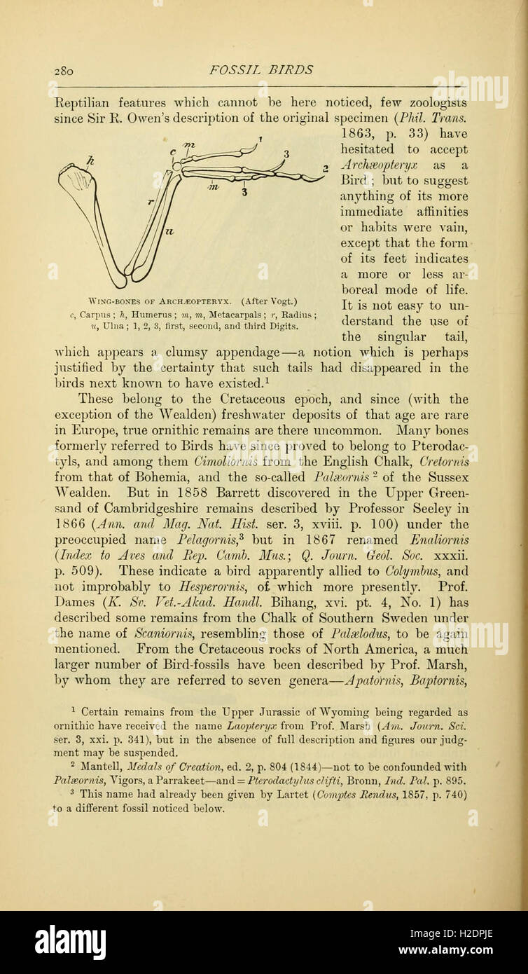 A reference dictionary on birds, with detailed information on species ...