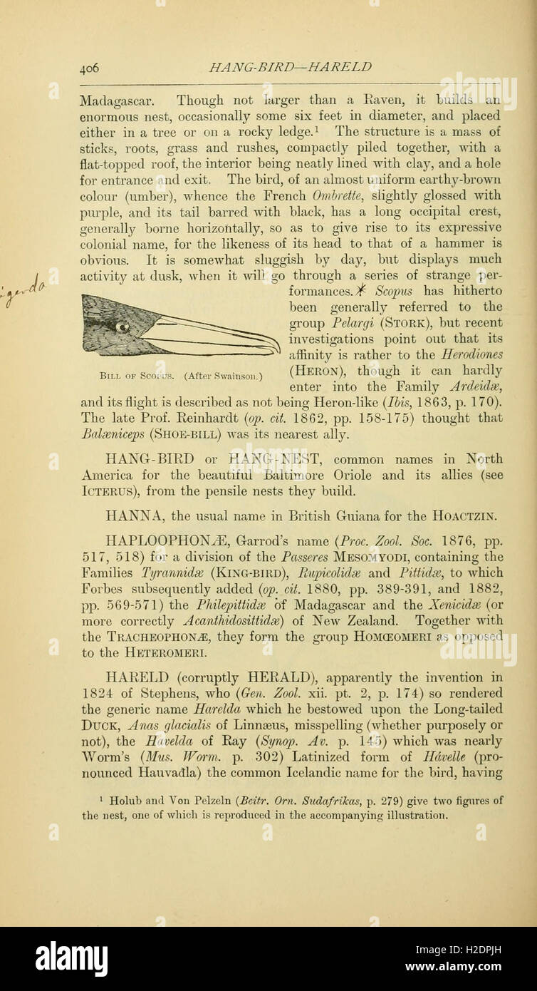 A comprehensive dictionary detailing bird species, their ...