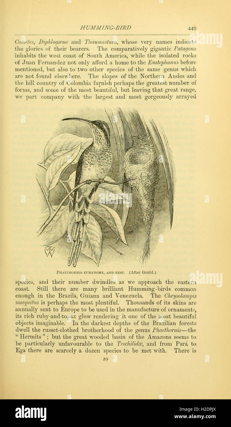 An extensive dictionary of bird species, providing concise descriptions ...