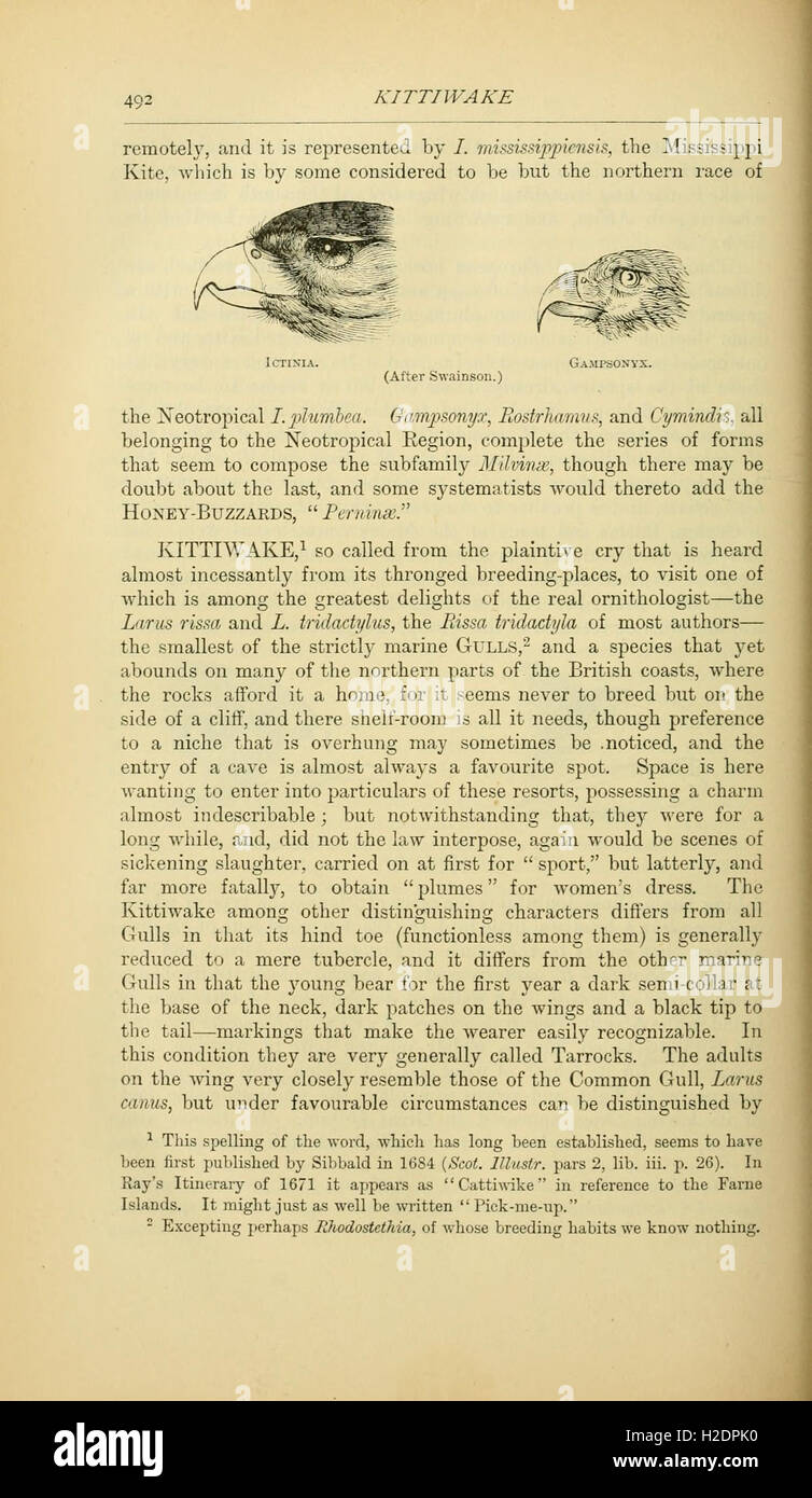 This dictionary offers detailed descriptions of bird species, their ...