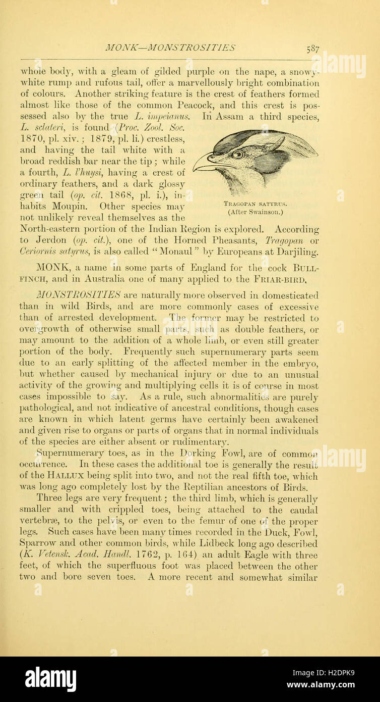 This dictionary provides comprehensive information about bird species ...