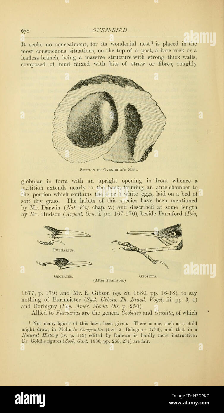 This comprehensive dictionary provides detailed descriptions of bird ...