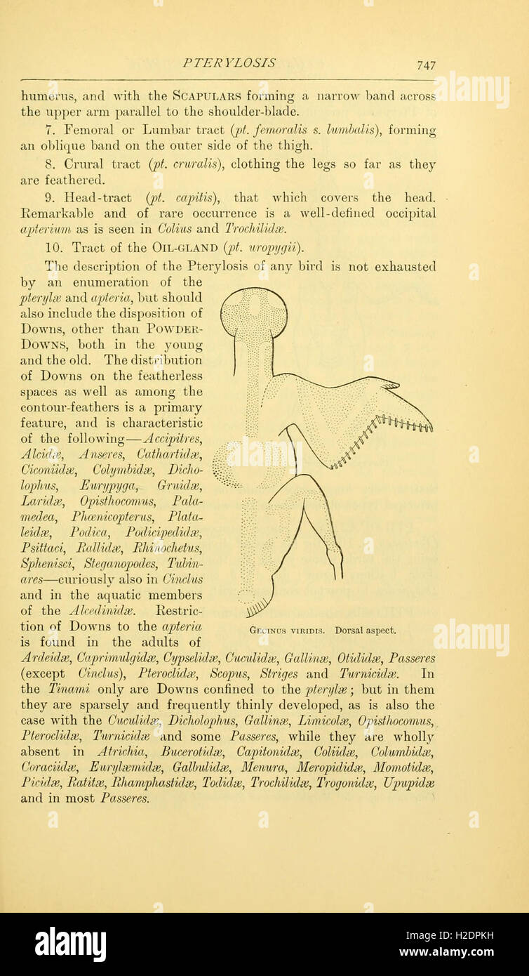 This dictionary provides comprehensive information on bird species ...